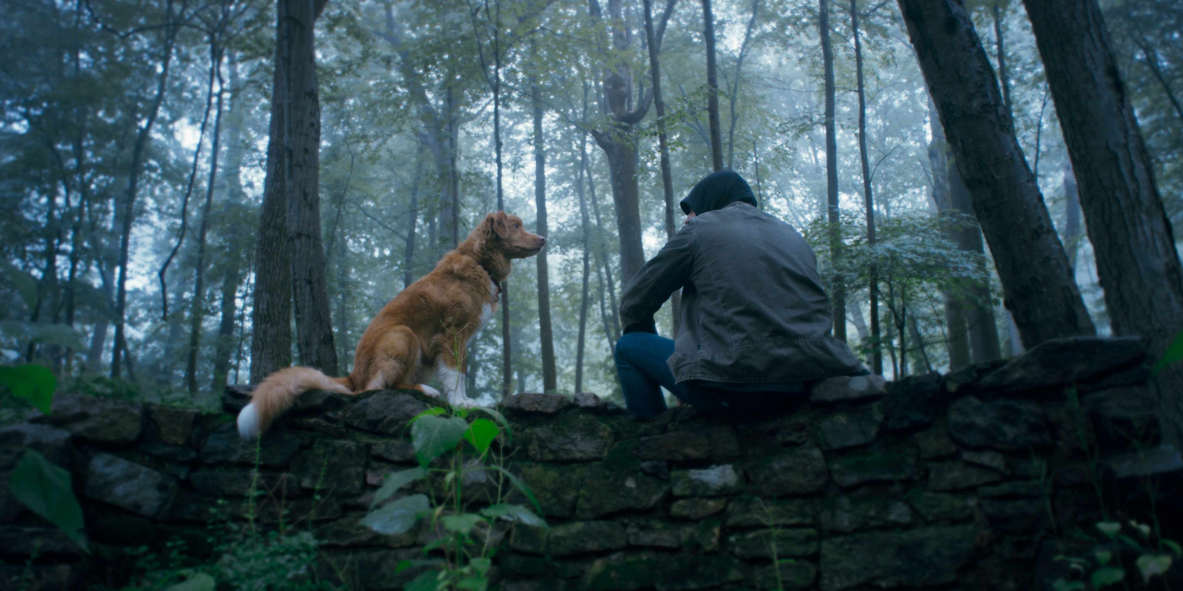 ‘Good Boy’: Barking up a dead tree – Boston Movie News